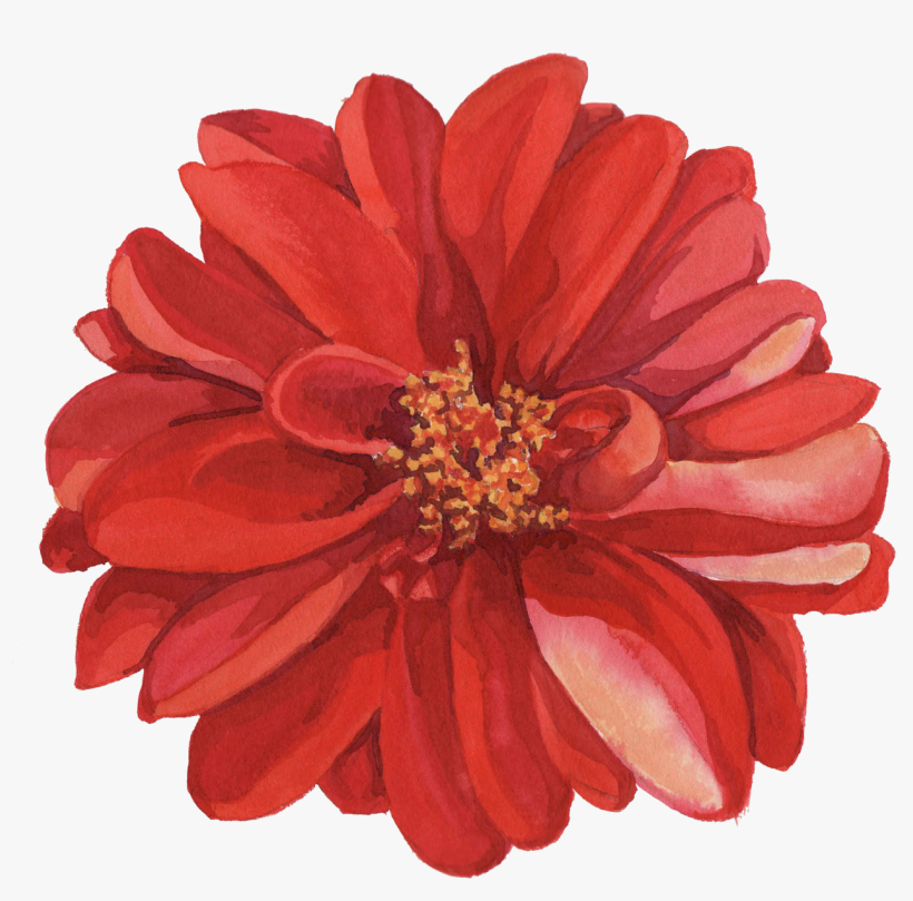 Transparentisthis - Flower Draw Tumblr Png - Free Transparent PNG ...