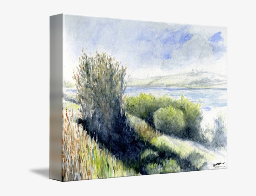 Natural Drawing Watercolor Clip Art Download - Gallery-wrapped Canvas Art Print 15 X 11 Entitled ...