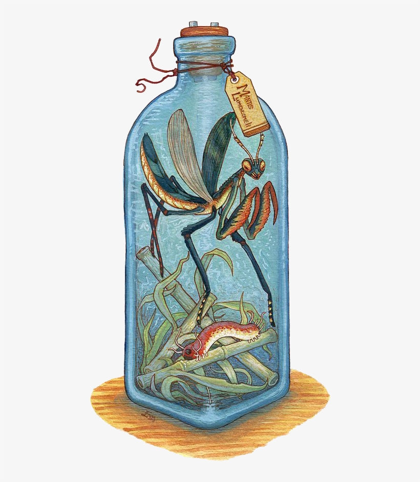 Legendary Creature Drawing Bottle Watercolor Painting - Creature In A ...