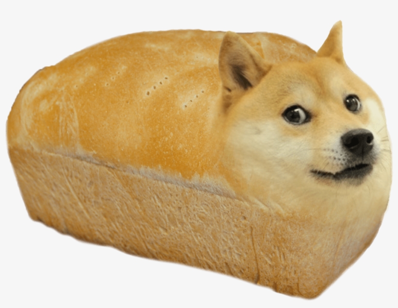 Doge Bread - Doge Png - Free Transparent PNG Download - PNGkey