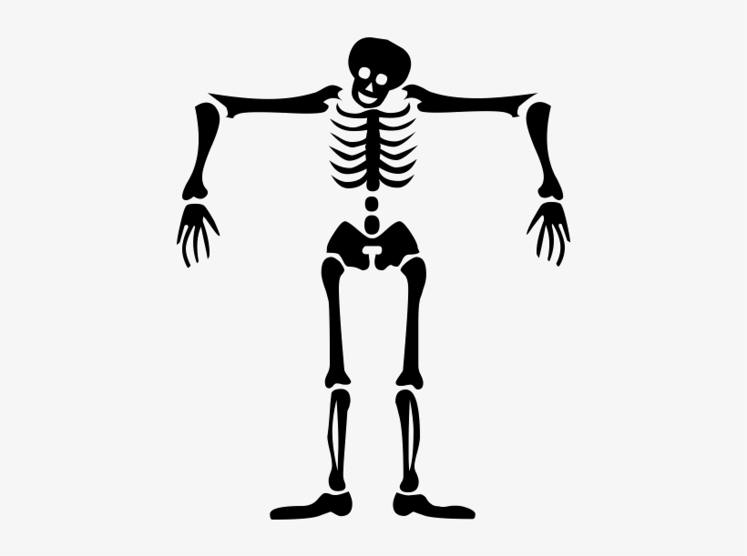 Halloween Skeleton Vector Free Png Background Image - X-ray Tech ...