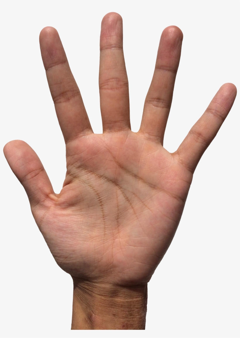 Hand Png Transparent Image - Hand Png - Free Transparent PNG Download ...