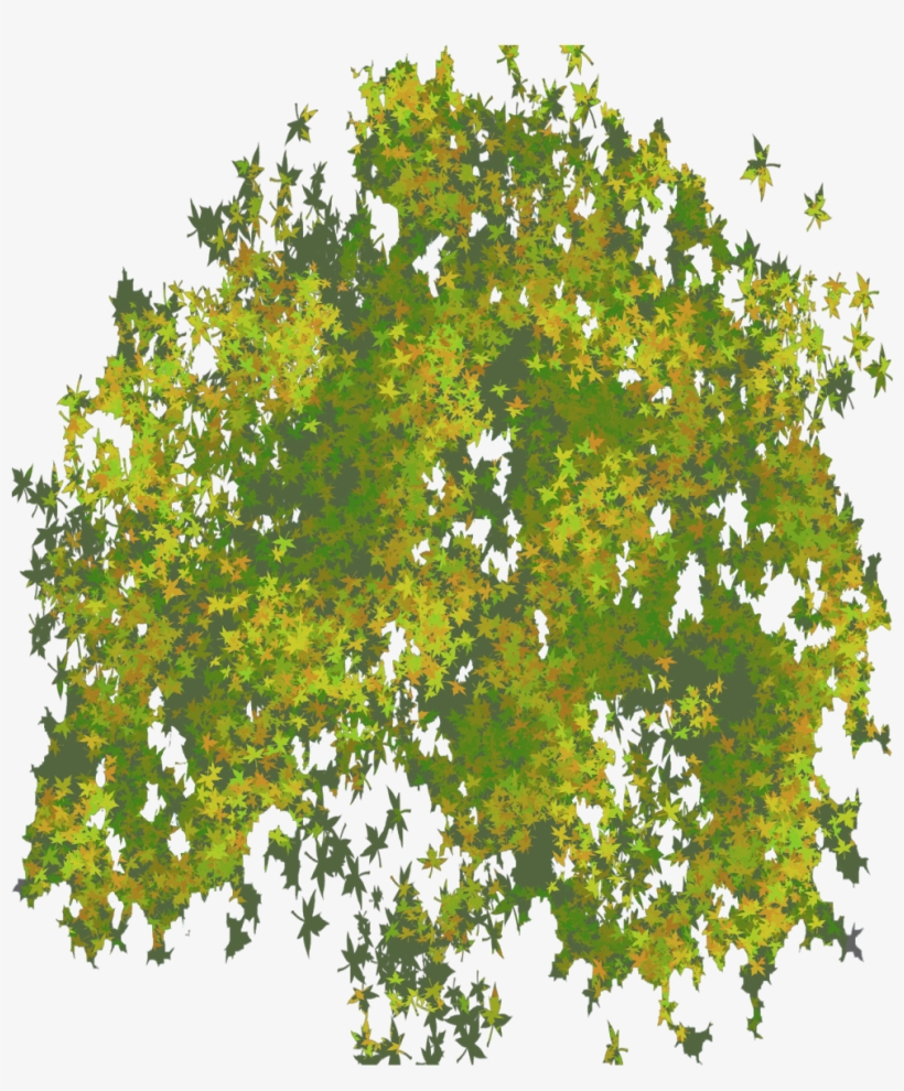 Png Illustrator Top View Trees - Free Transparent PNG Download - PNGkey