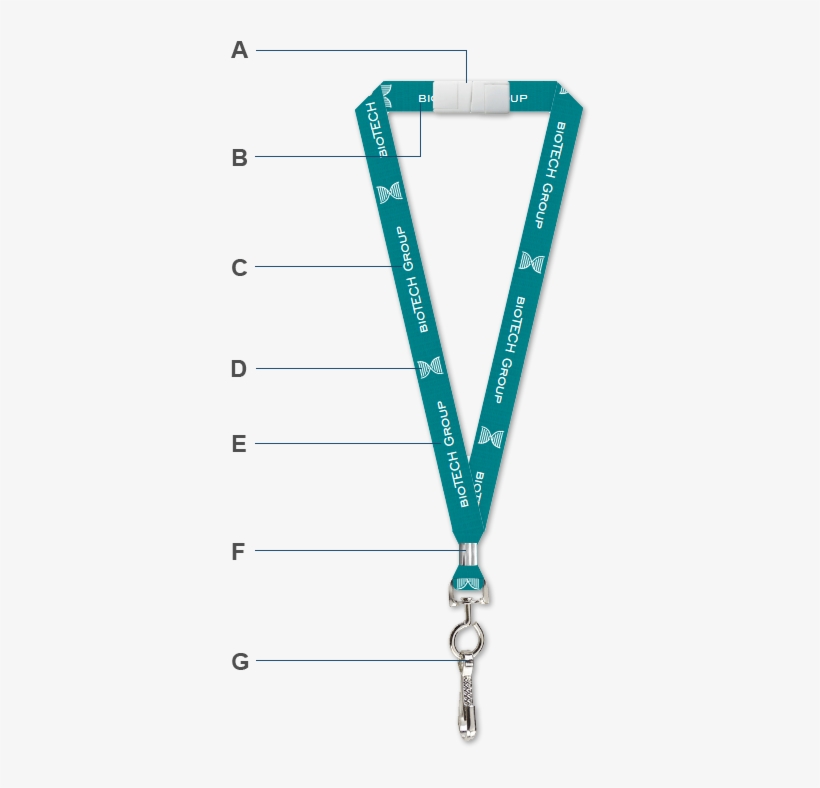 Anatomy Of A Custom Lanyard - Number - Free Transparent PNG Download ...