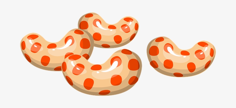 Candy Candies Sweet Colorful Sugar Food Or - Jack And The Beanstalk ...