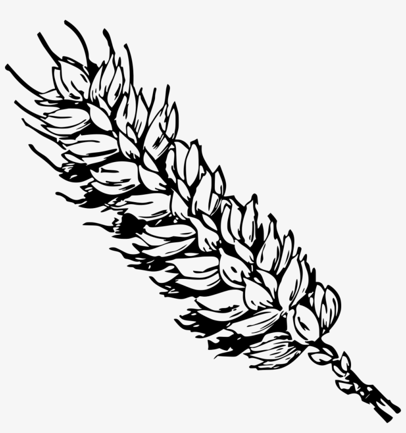 Svg Farm Corn Cereal Free Image Icon - Millet Clip Art Transparent ...