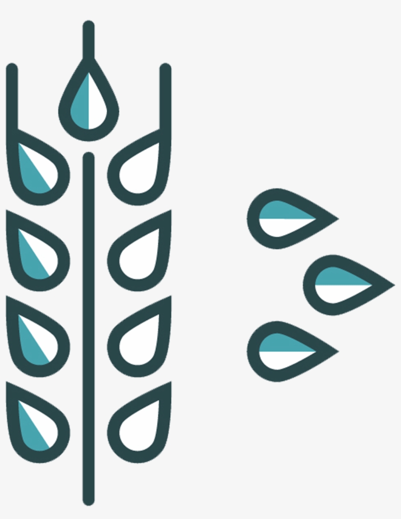 Wheat Icon - Graphic Design - Free Transparent PNG Download - PNGkey