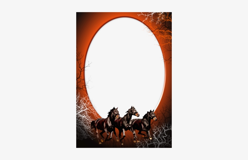 Caballos Para Usted - Marcos Para Fotos De Caballos - Free Transparent ...