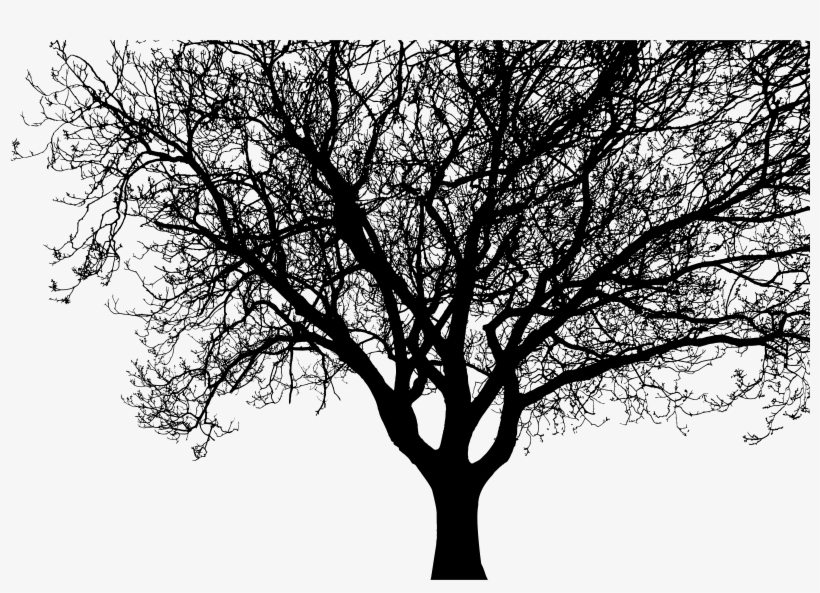 Detailed Tree Silhouette - Big Tree Silhouette Png - Free Transparent ...