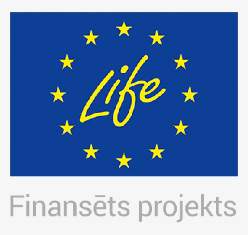 Life 1-800x - Life - Free Transparent PNG Download - PNGkey