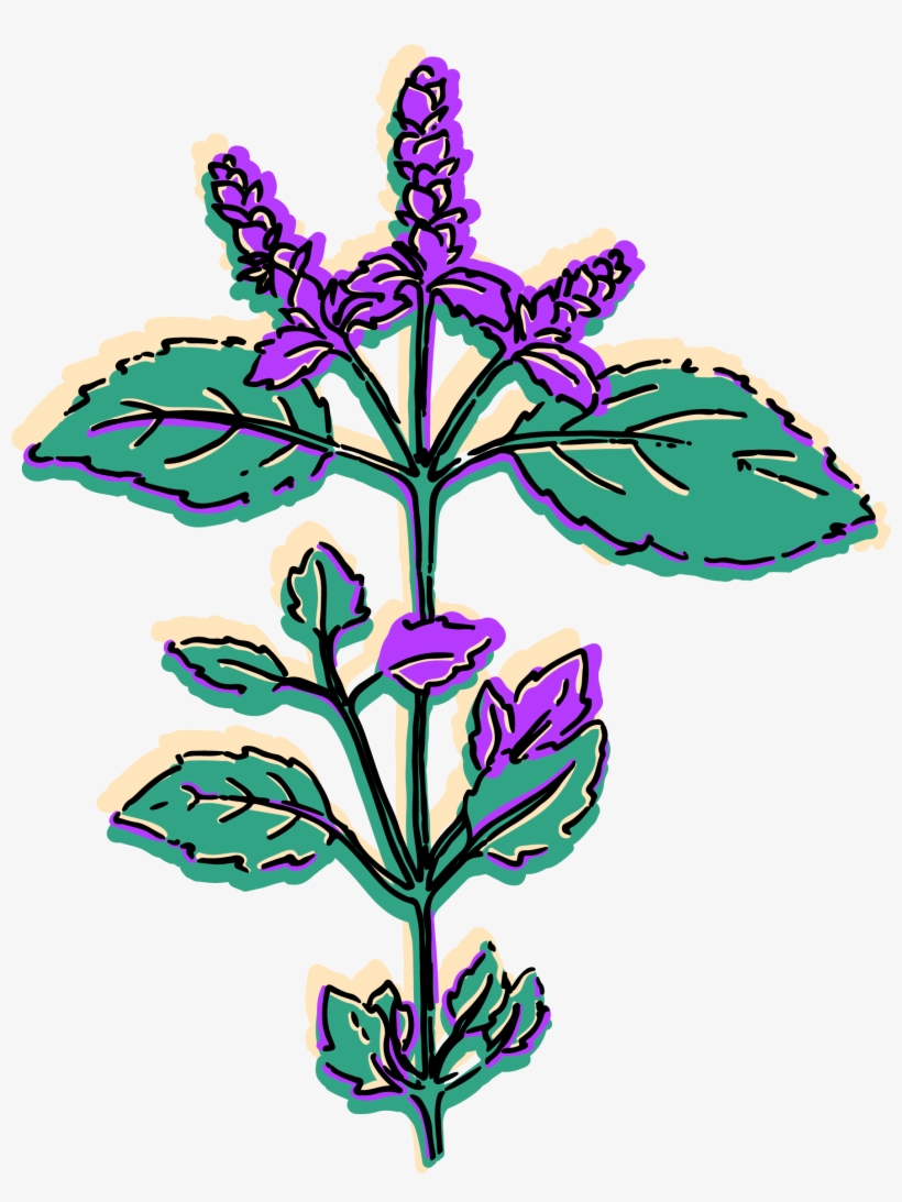 The Glories Of Tulasī Devī From The Śrī Nāradīya Purāṇa - Free ...