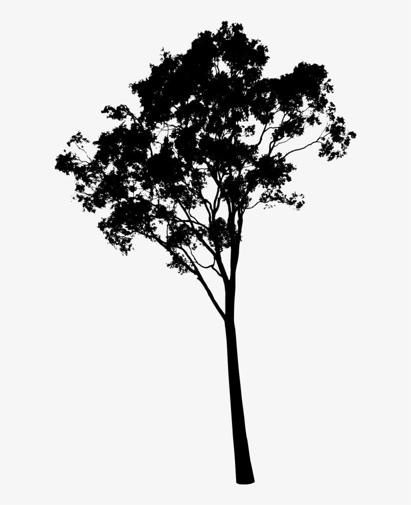 Valuable Design Ideas Gum Tree Silhouette Eucalyptus - Gum Tree ...