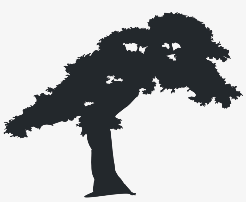 No Vector Graphics,free Pictures, - Graphics - Free Transparent PNG ...