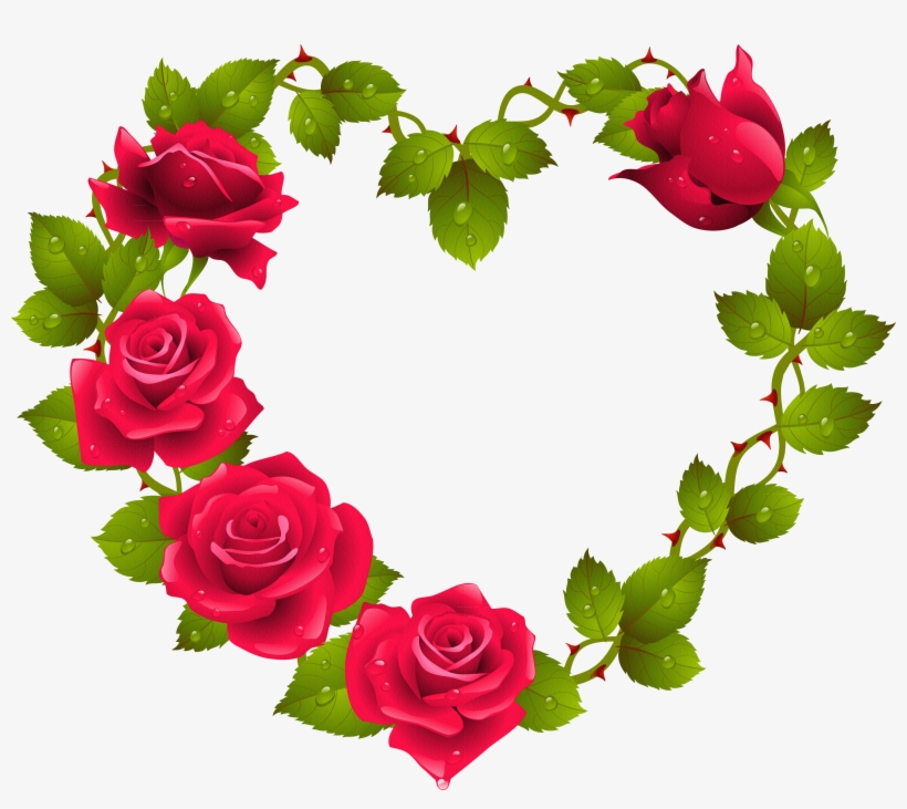 Marcos Rosas Rojas Png - Beautiful Rose Pictures Download - Free ...