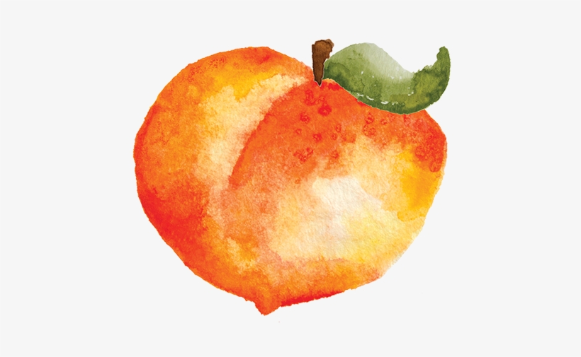 Blog - Free Transparent PNG Download - PNGkey