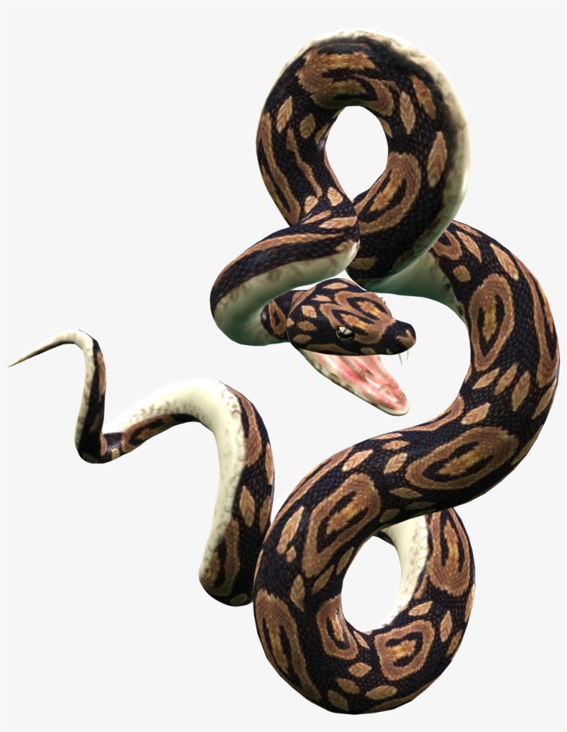 Pin Briana Floor On Art Reference Images Pinterest - Snake Png - Free ...