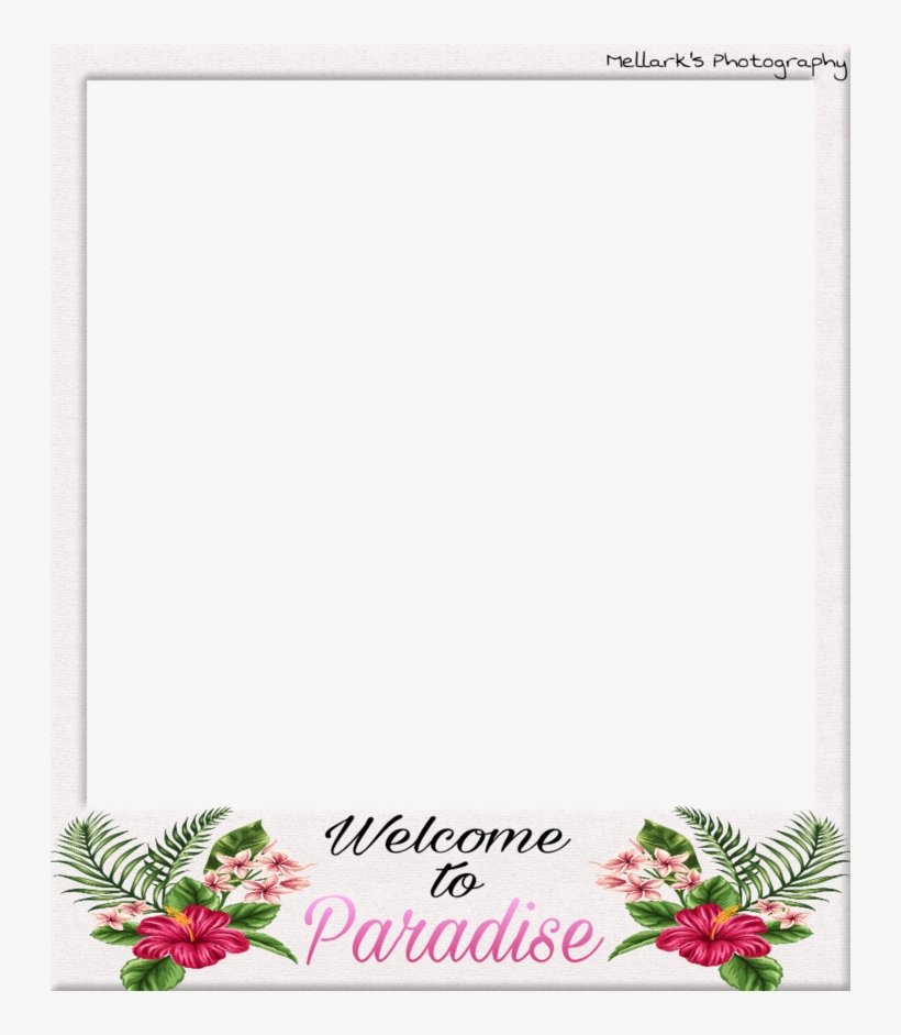 Wtp Polaroids Png - Free Transparent PNG Download - PNGkey