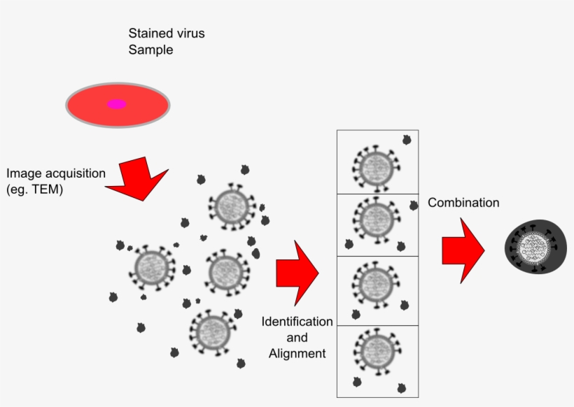 Single Particle - Free Transparent PNG Download - PNGkey