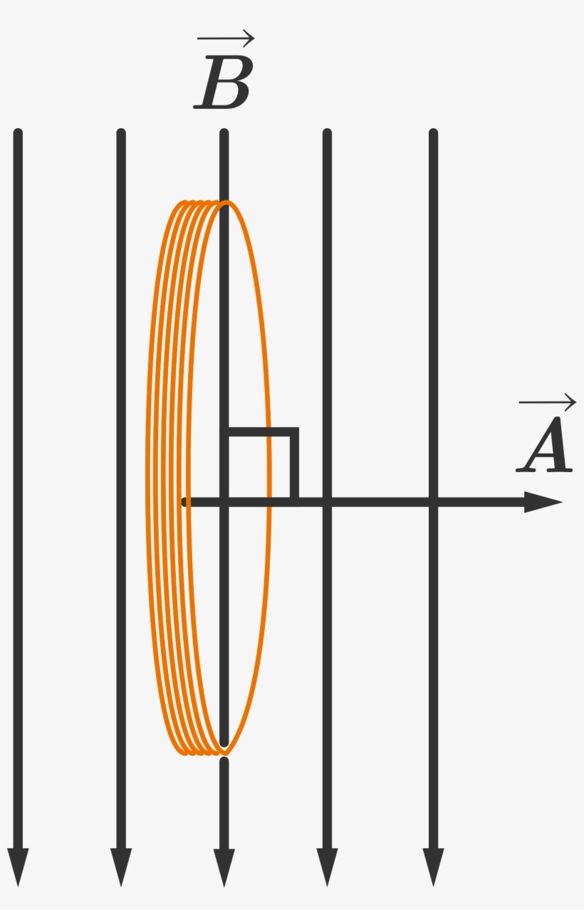 A Coil Of Wire In A Vertical Magnetic Field - Diagram - Free ...
