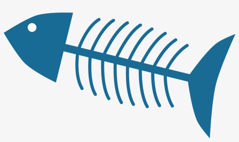 Fish Feathered Bone Skeleton Png Image - Bone - Free Transparent PNG ...