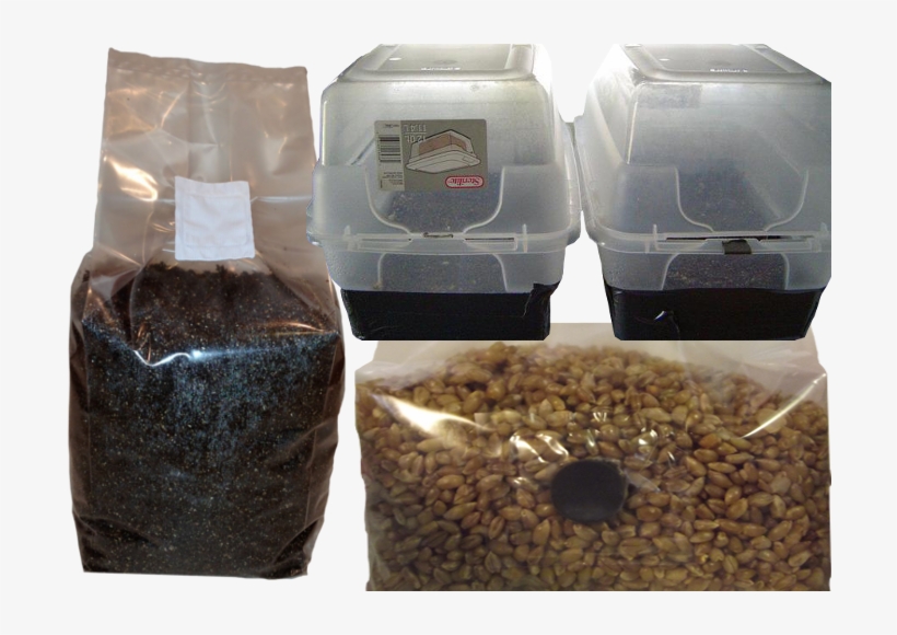 Double Tub Fill Kit - Mz Dub Tub - Free Transparent PNG Download - PNGkey