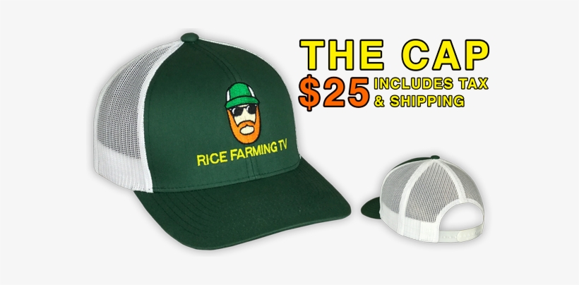 Cap Rice Farming Tv - Agriculture - Free Transparent PNG Download - PNGkey