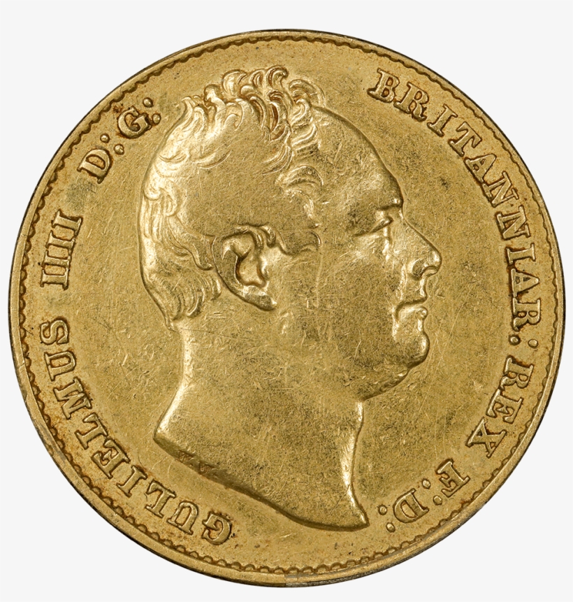 Scarce Png - Free Transparent PNG Download - PNGkey