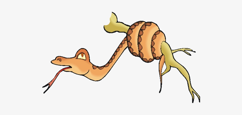 Brown Snake - Snakes - Free Transparent PNG Download - PNGkey