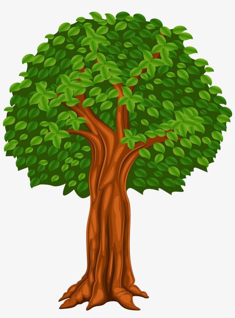 Tree Illustration Png - Free Transparent PNG Download - PNGkey