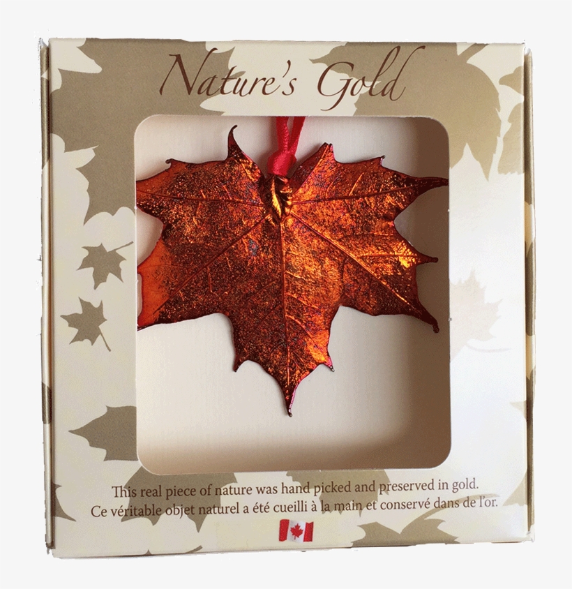 Maple Leaf Ornament - Maple Leaf Gifts - Free Transparent PNG Download ...
