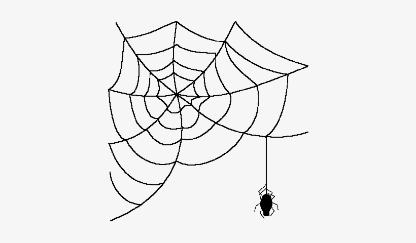 Vector Transparent Download Spider Support Campaign - Spider Web ...