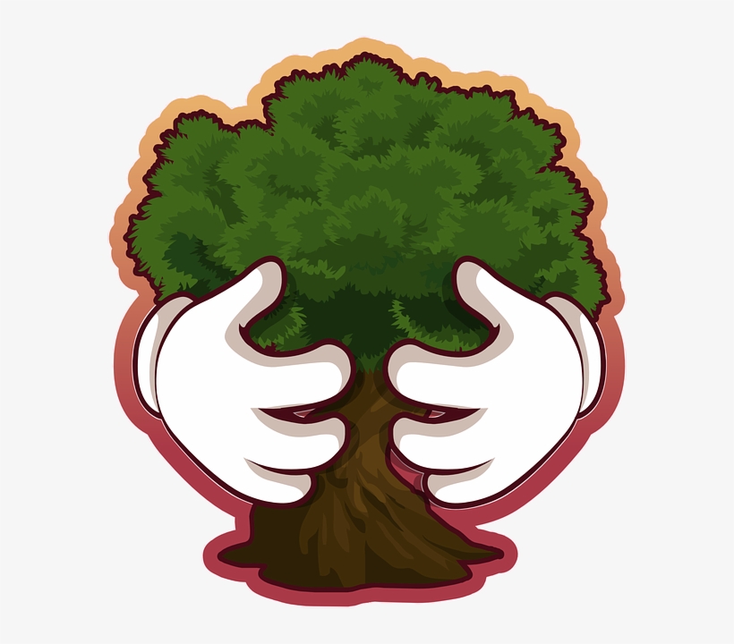Save Tree Png Pic - Tree Conservation - Free Transparent PNG Download ...