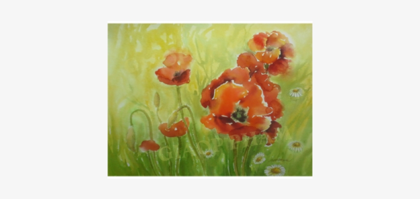 California Poppy - Free Transparent PNG Download - PNGkey