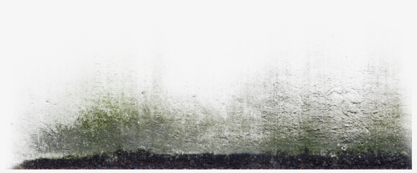 Decalbottom0010 1 S - Decal Bottom Texture - Free Transparent PNG ...