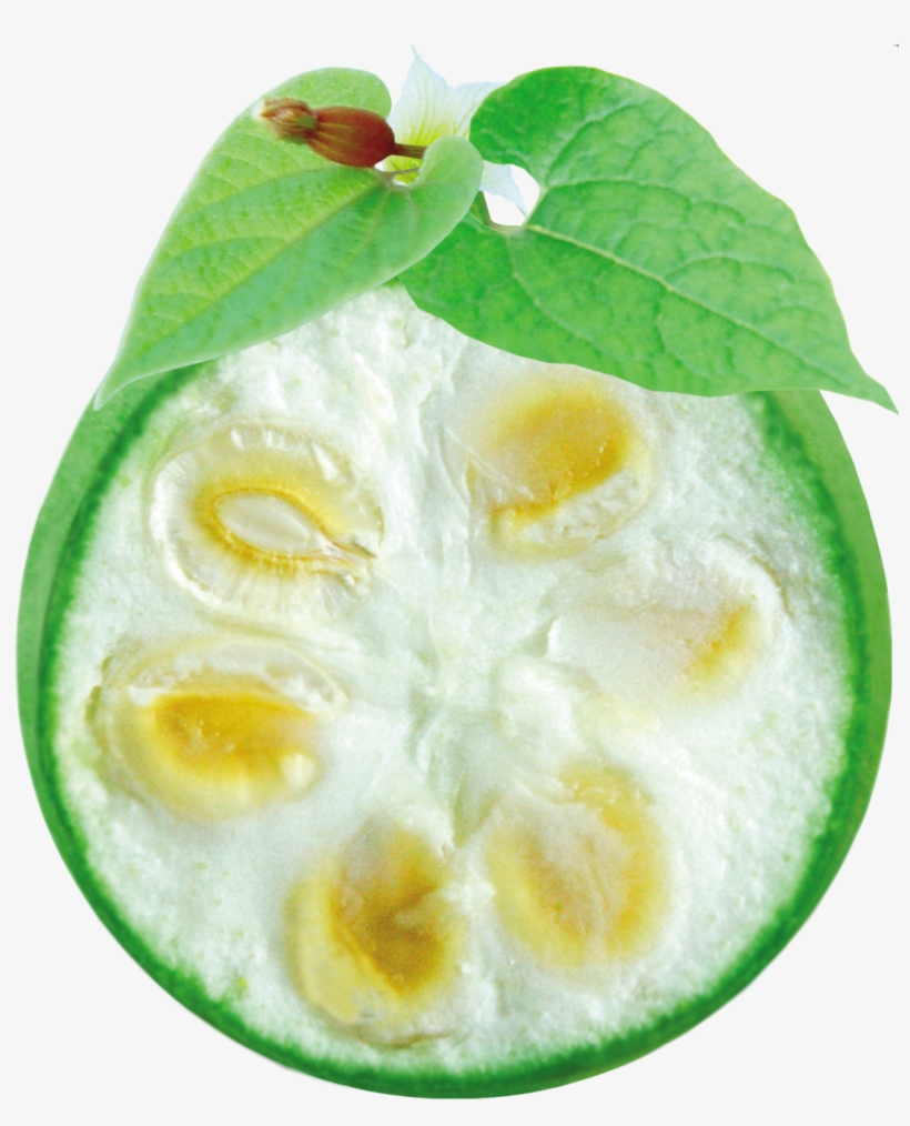 Monk Fruit - Free Transparent PNG Download - PNGkey