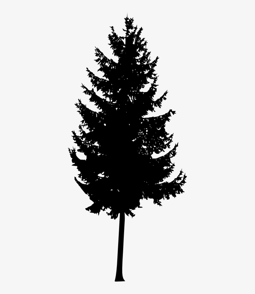 30 Pine Tree Silhouette Vol - Mountain Ash Tree Silhouette - Free ...