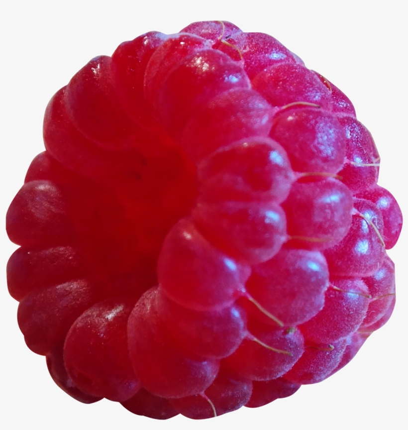 Raspberry Png Transparent Image - Raspberry Transparent - Free ...