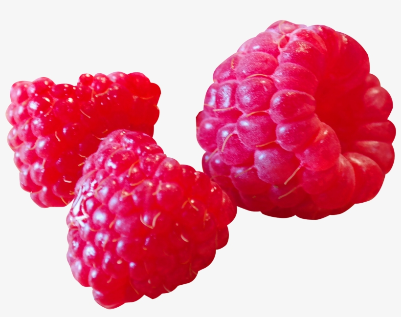 Raspberry - Free Transparent PNG Download - PNGkey