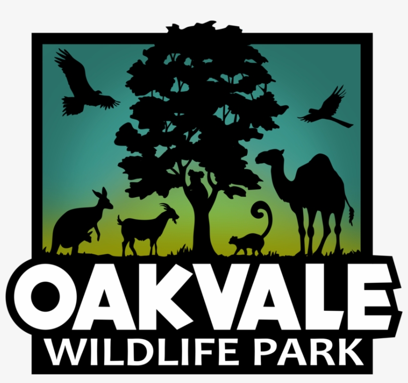 Oakvale Wildlife Park - Oakvale Farm - Free Transparent PNG Download ...