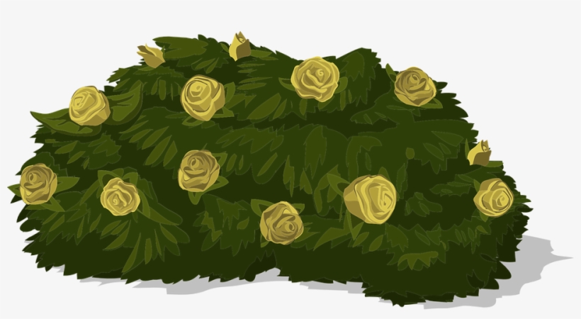 Bush Roses Yellow Green Greenery Shrub Nat - Shrub - Free Transparent ...