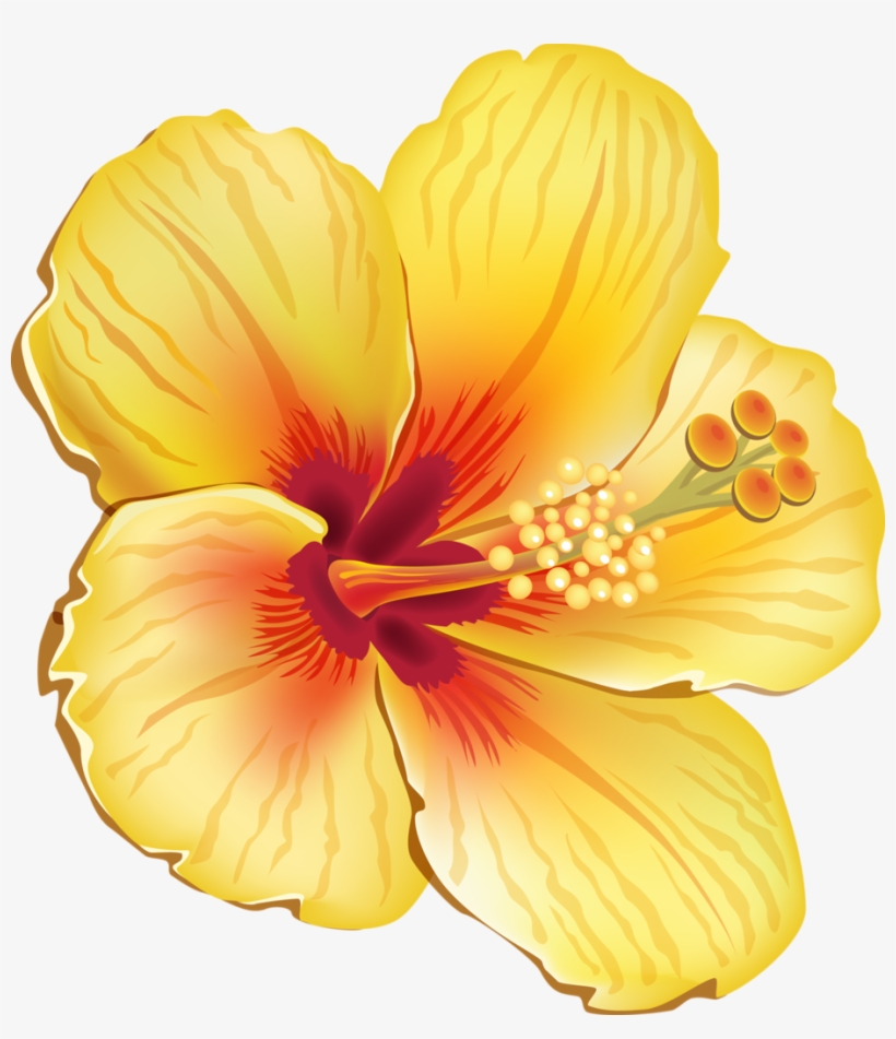 Tropical - Transparent Tropical Flower Png - Free Transparent PNG ...