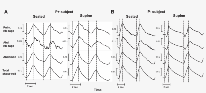 From Top To Bottom - Diagram - Free Transparent PNG Download - PNGkey