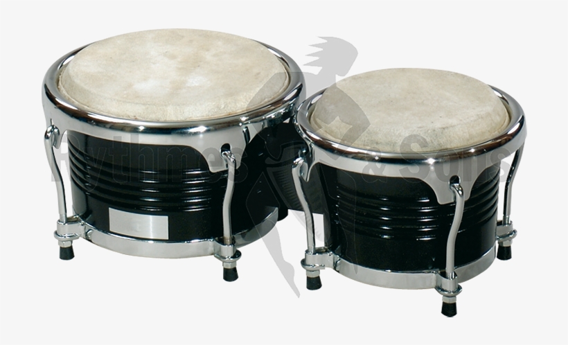 Wood Bongos 6"1/2 8" - Bongo Drum - Free Transparent PNG Download - PNGkey