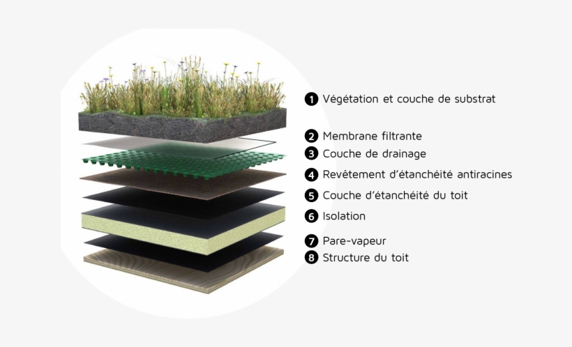 The Various Parts Of A Green Roof - Heat Absorbing Roof Materials ...