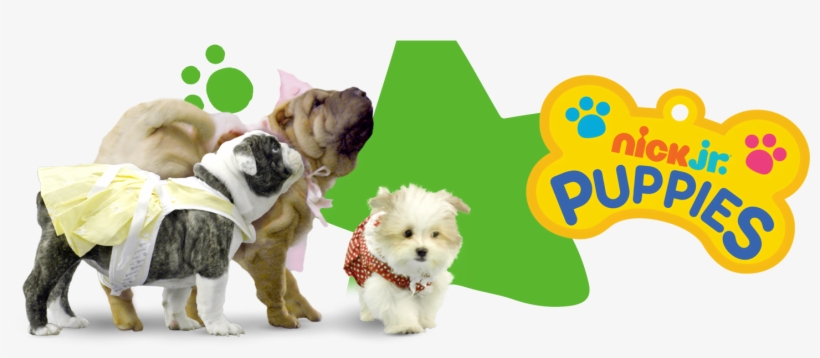 Puppies Header - Puppy - Free Transparent PNG Download - PNGkey