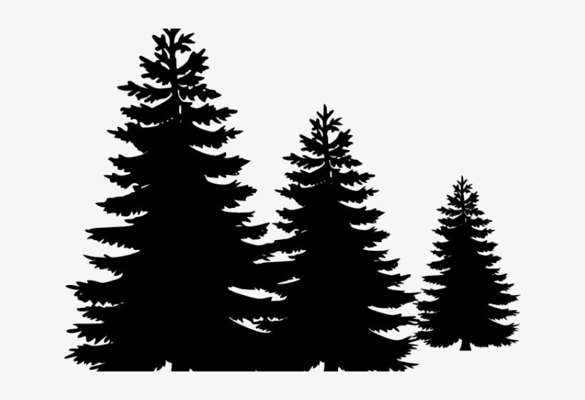 Pine Tree Silhouette Free - Free Transparent PNG Download - PNGkey
