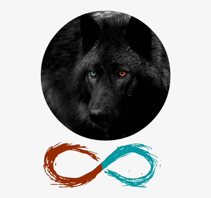 Immortalized Banner Infinity Sign Wolf Red Blue Black - Lobos Frases ...
