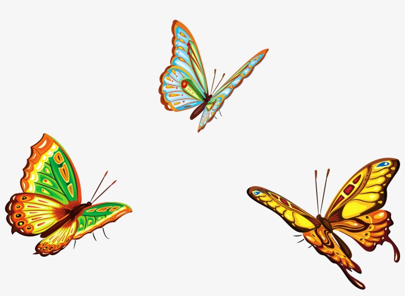 Three Butterflies Png Clipart Picture - Free Transparent PNG Download ...