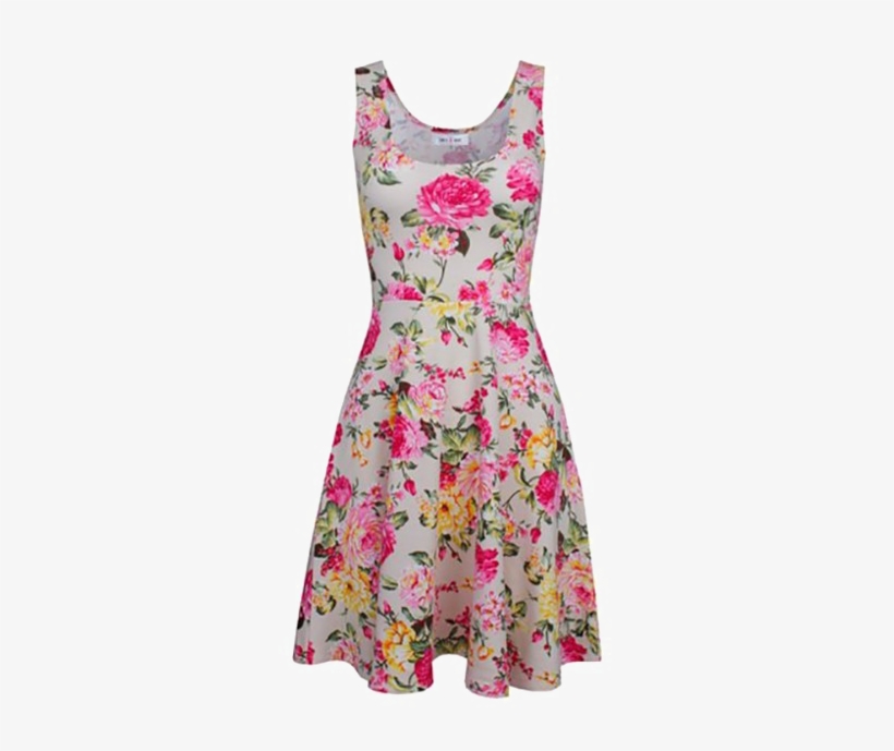 Women Casual Dress Png