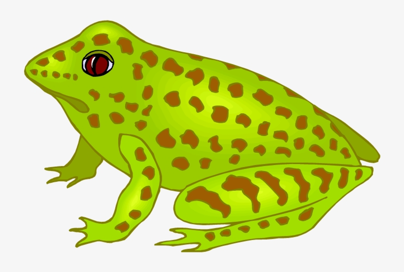 Free Frog Clipart - Spotted Frog Clipart - Free Transparent PNG ...